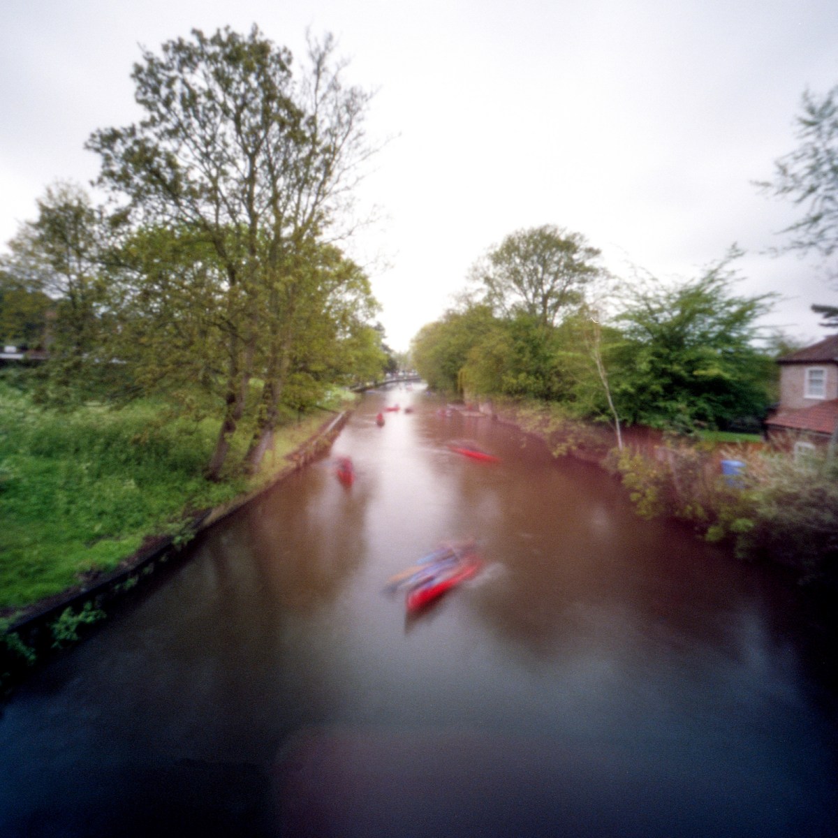 Pinholeday Part 1 – Blatherskite